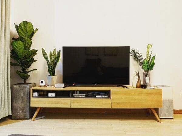 Best Japanese TV Brands